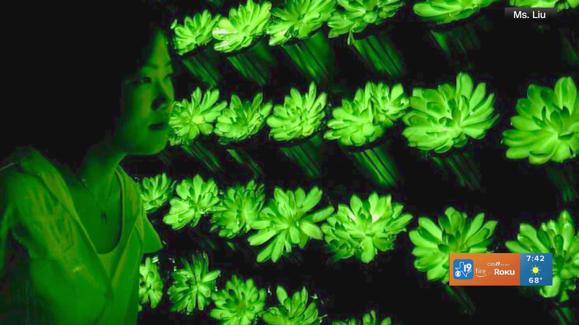 Chinese scientists create glowing garden