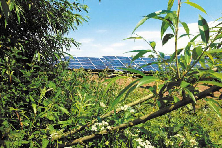 Giant Anglesey solar farm poses 'unacceptable risk of contamination'