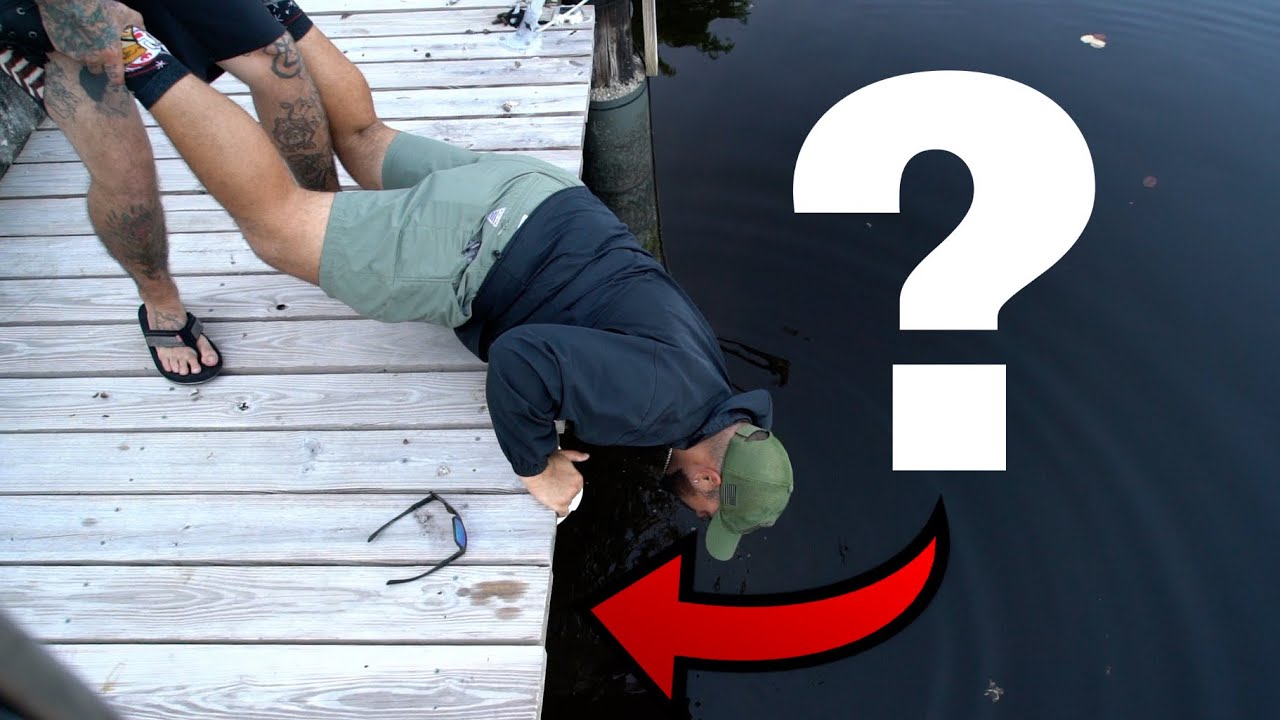 Strange fish discovered under dock | Rare or released pet?