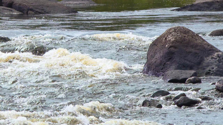 Hot, dry summer quiets the roar of the Gander River — worrying those ...