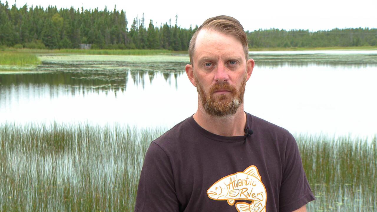 Hot, dry summer quiets the roar of the Gander River — worrying those ...