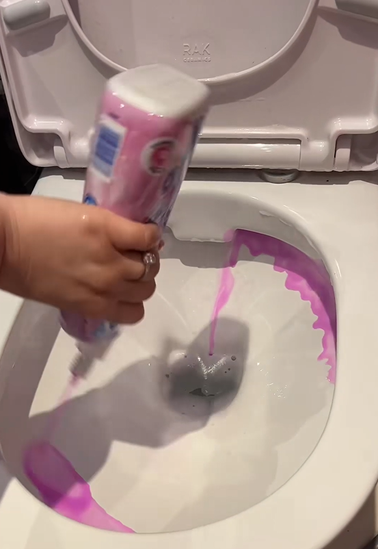 Good Ole Toilet Cleaning Routine