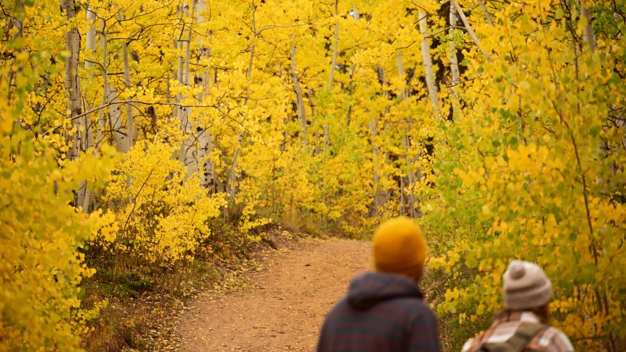 The two types of Fall, defined