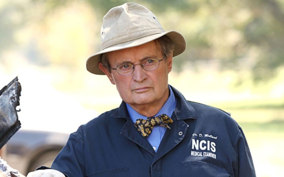 "Homenagem ao nosso querido amigo": NCIS traz amado personagem de volta ...