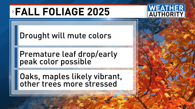 Drought conditions could dull Maine's fall foliage this year