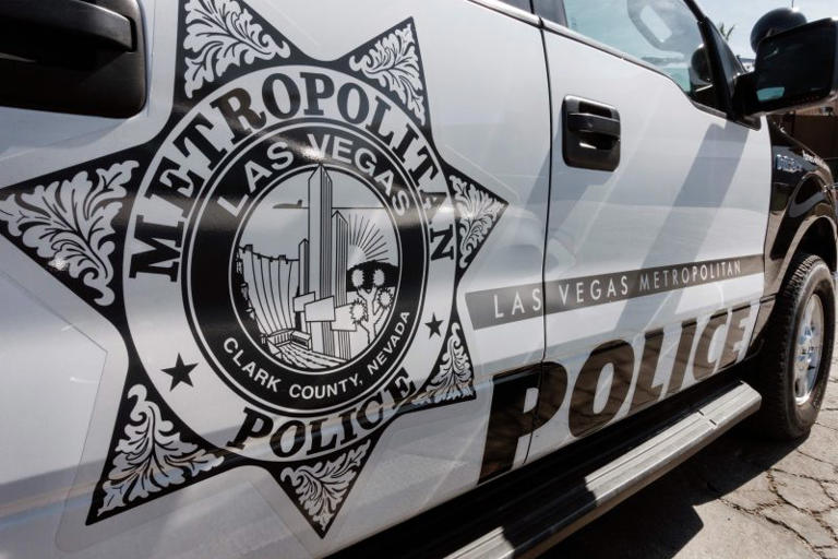 Las Vegas police: Alleged DUI driver leads police on chase with dog in car