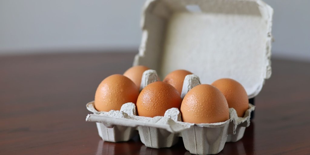 Pourquoi il faut toujours retirer vos œufs de leur boîte en carton en ...