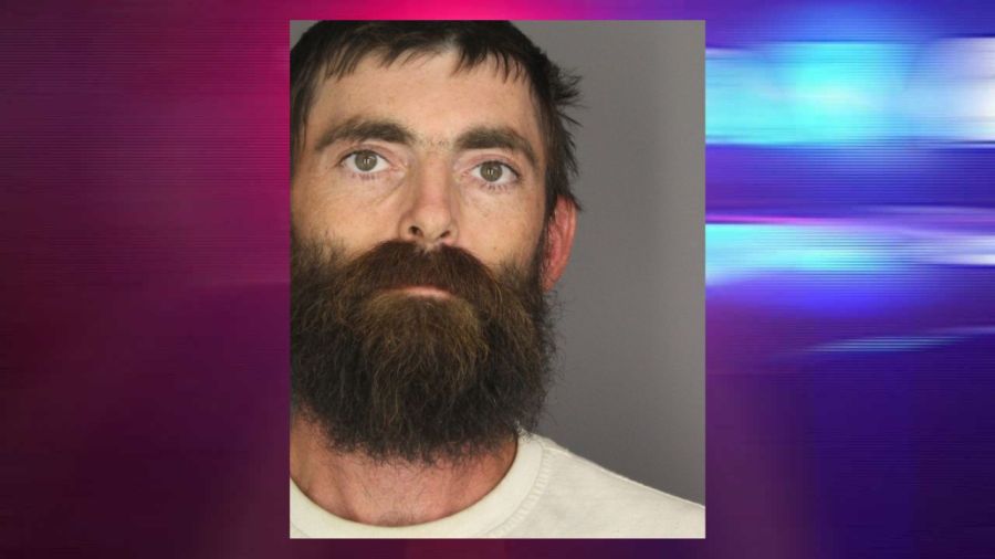 Candor man arrested after bag thefts at Park Station