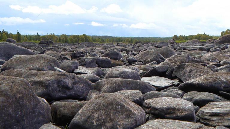 Hot, dry summer quiets the roar of the Gander River — worrying those ...