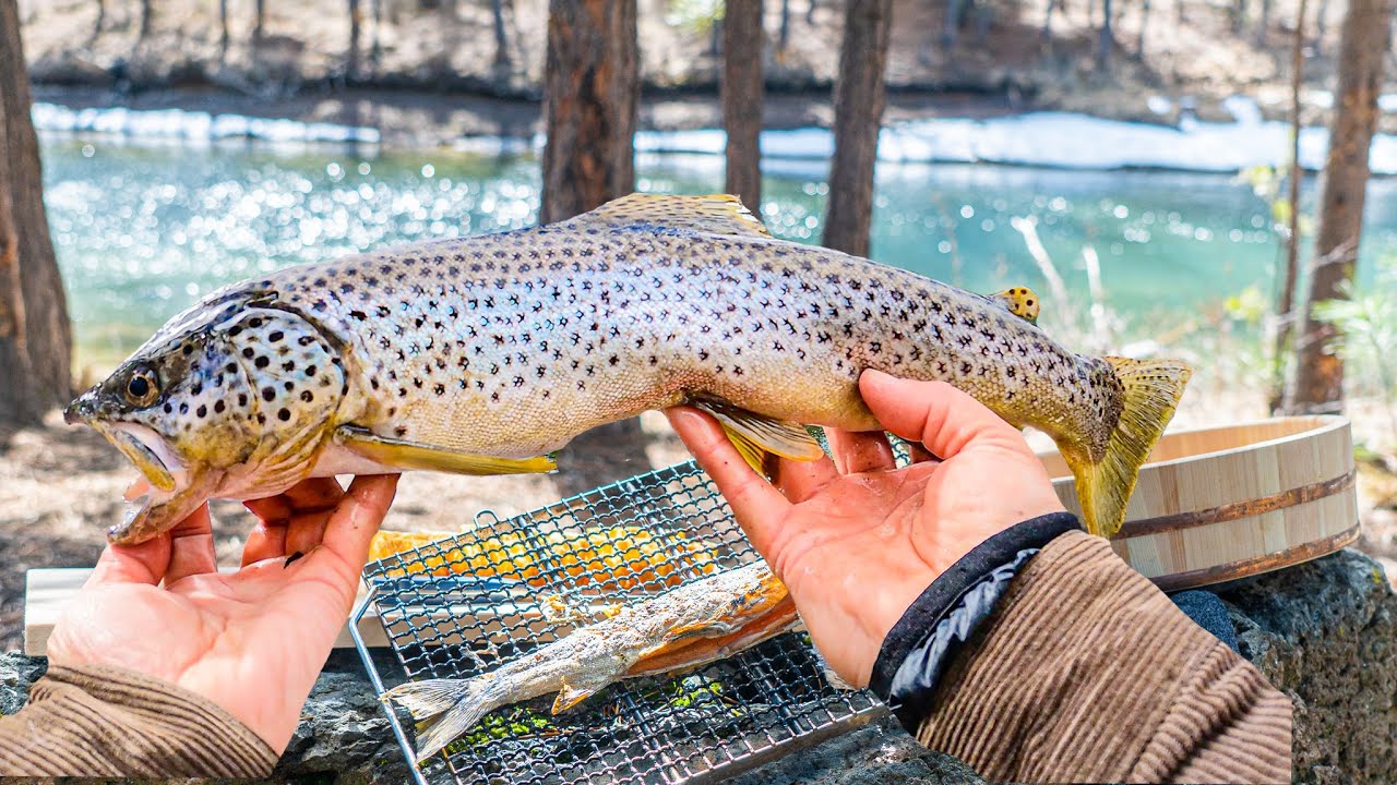 Catch & cook: The freshest trout sushi
