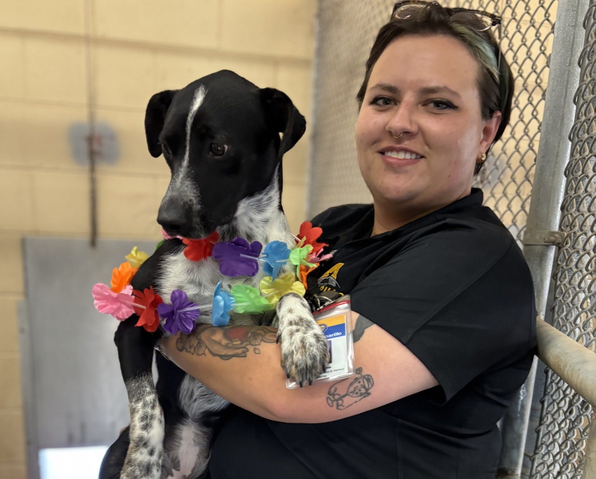Amarillo AMW's Clear the Shelters pet campaign exceeds this year's goal
