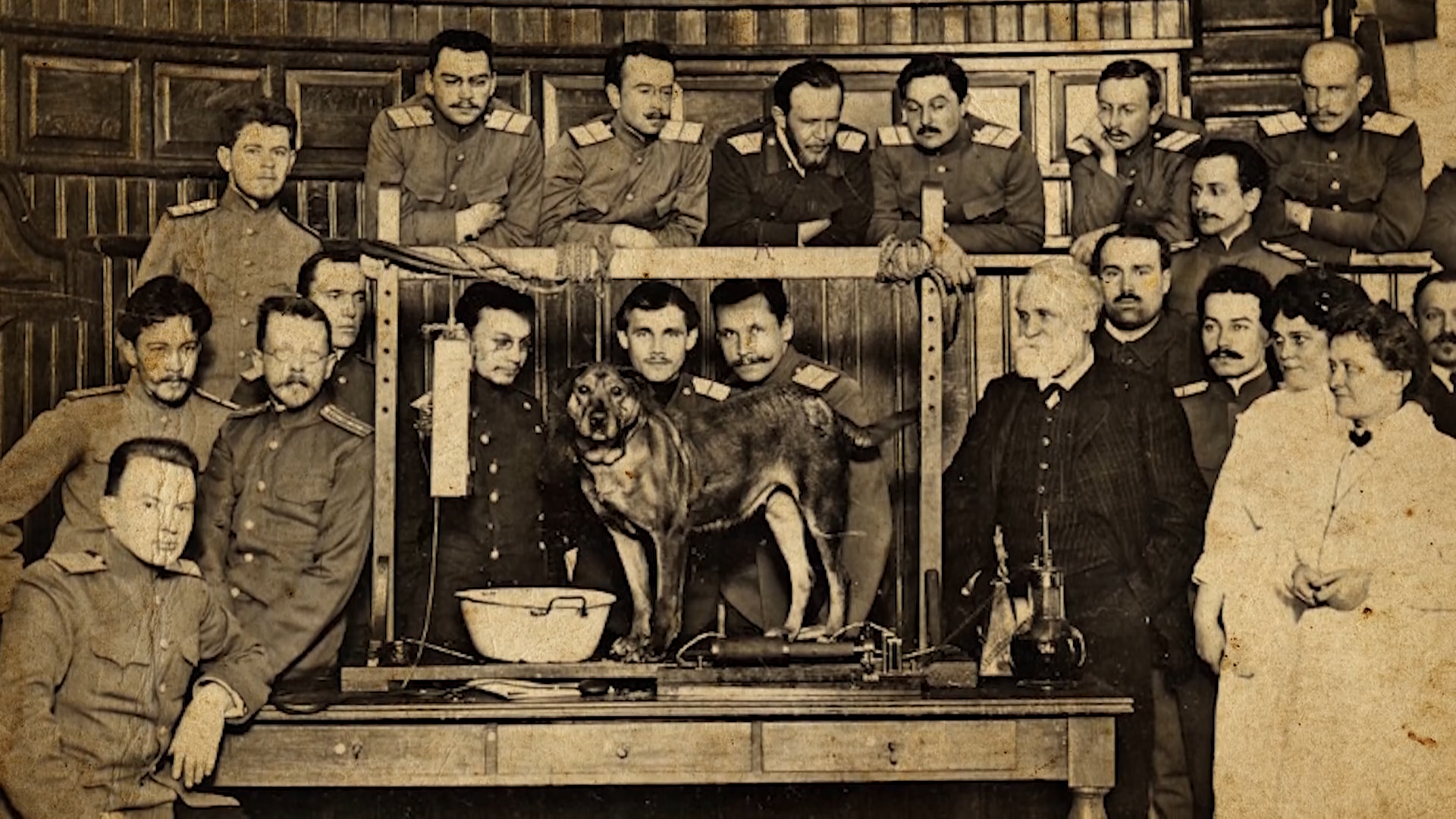 The Dark Reality of Pavlov’s Dog Experiments Revealed