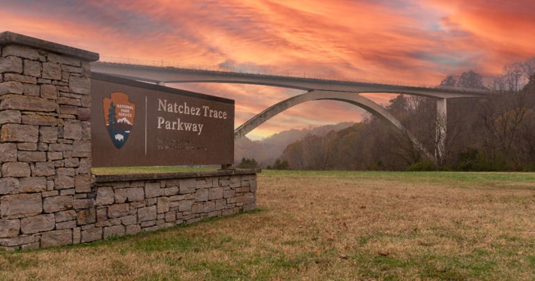 A Guide to America's Most Breathtaking National Parkways
