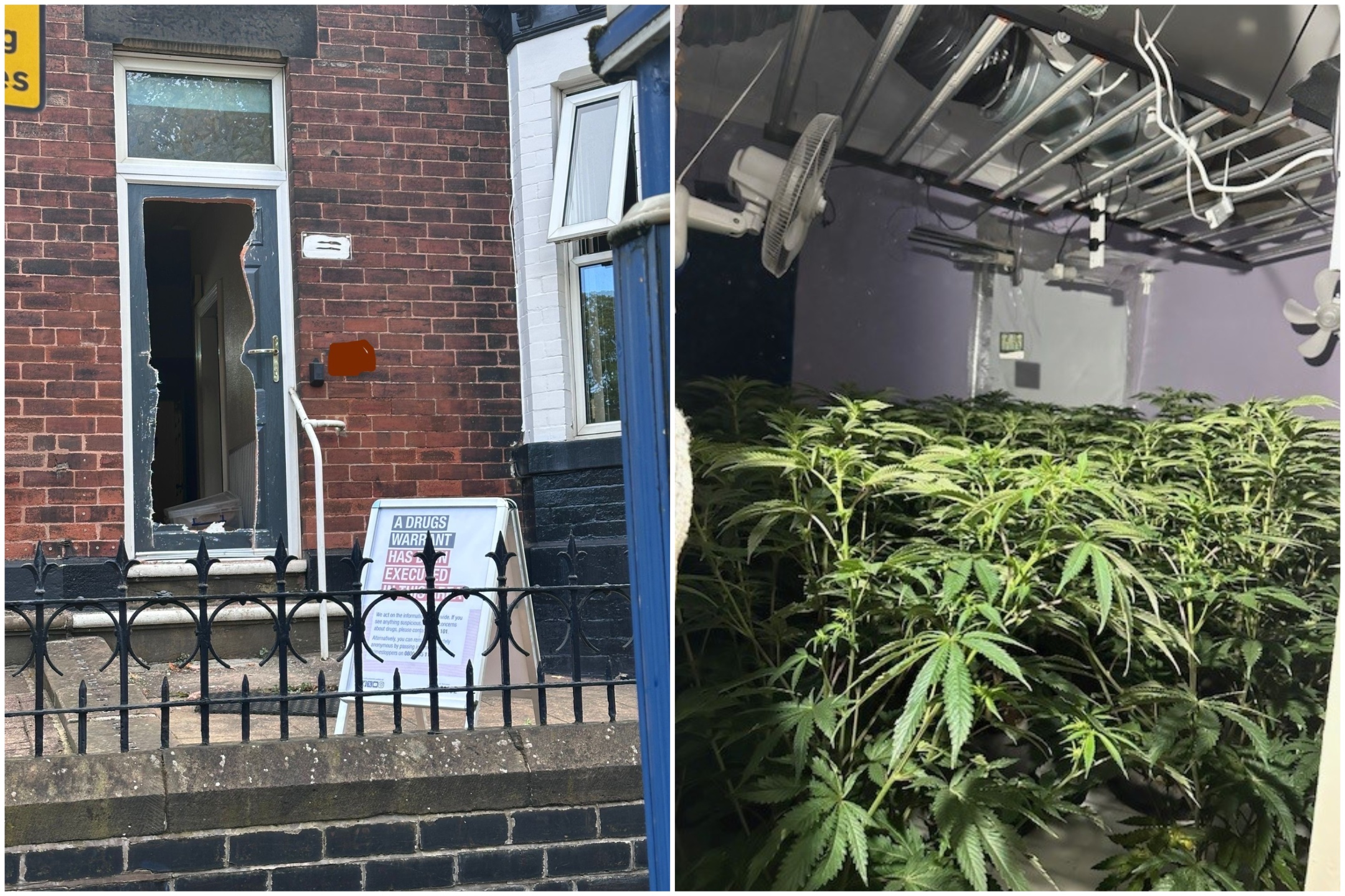 Sheffield drugs: £100,000 of cannabis seized in police raid on Firth ...
