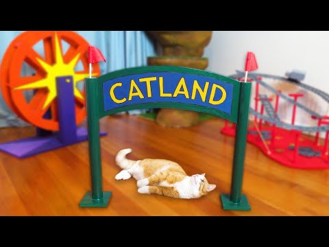 Building a mini theme park just for a curious pet