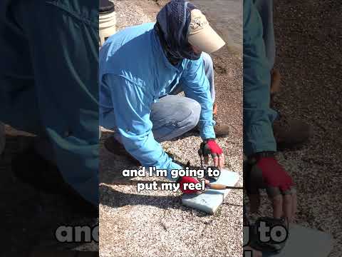 The number one enemy for the boatless angler