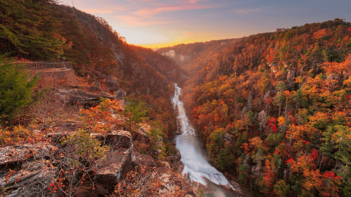 Love Leaf Peeping? Here's The Best Places To Photograph Foliage In The ...