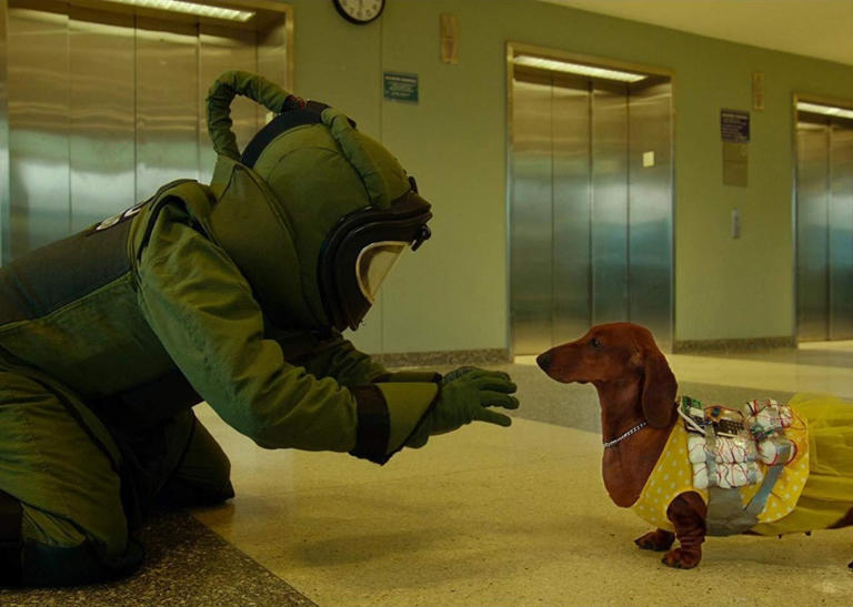 How many of the best dog movies of all time have you seen?