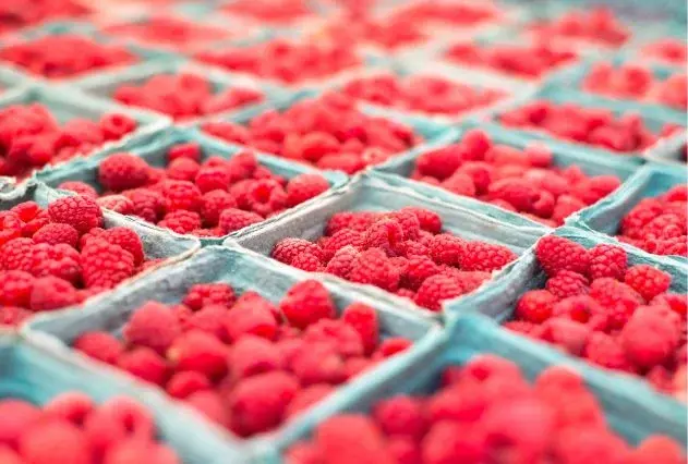 Morocco and Israel deepen military ties with defense industry collaboration