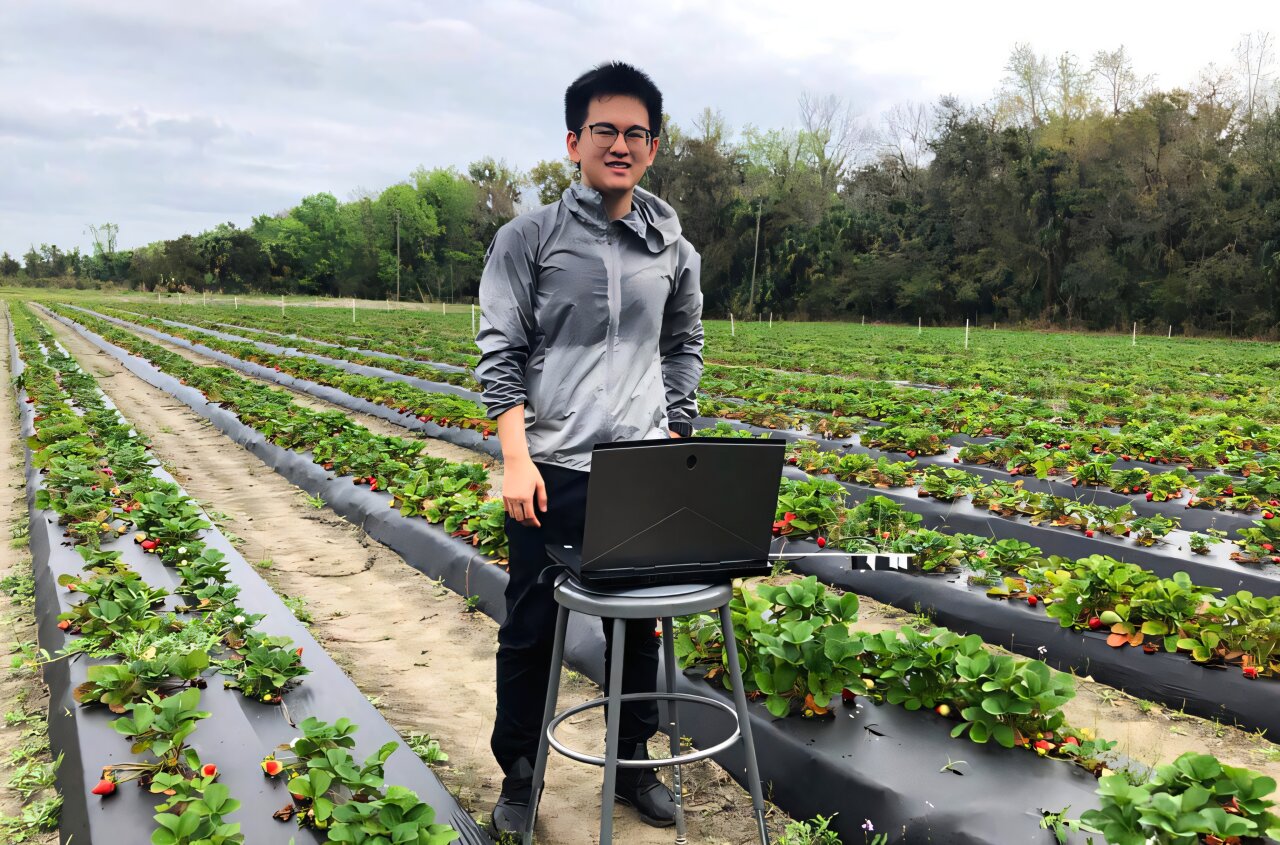 Robotic harvester uses AI vision and soft grippers to pick hidden ...