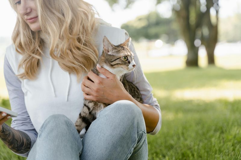 Things Humans Do That Cats Tend To Hate