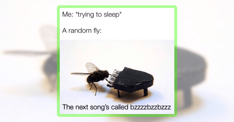 25+ Buzz-Worthy Bug Memes to Crawl Into Your Day With a Smile