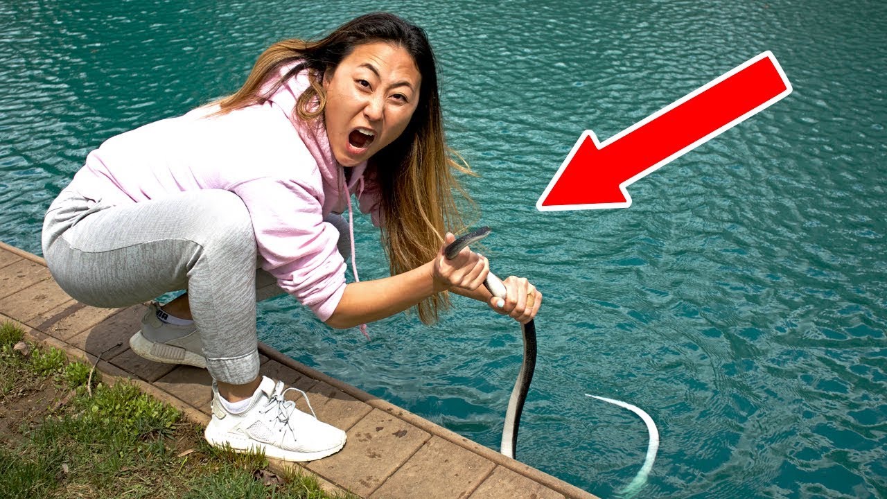 I caught a snake in a pond! 🐍
