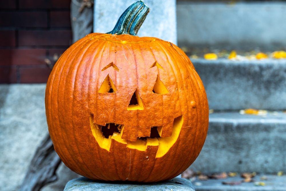 Pumpkin Pulp Power: Recipes, Tips & Nutrition Facts