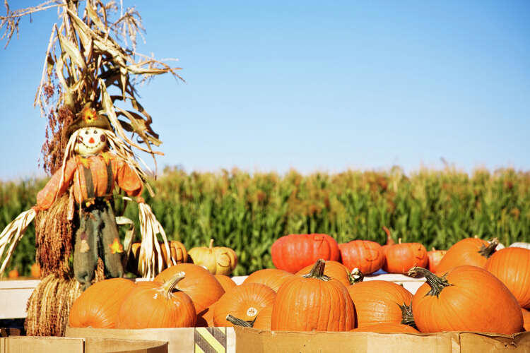 Your guide to fall festivals in the Hudson Valley