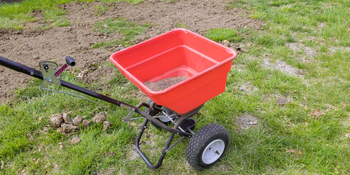 The Inexpensive Lawn Chore You Can Do This Weekend for Gorgeous Grass ...