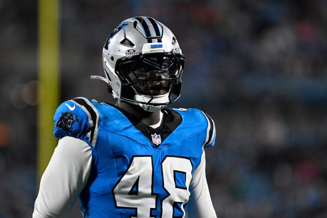 How a Panthers player you've never heard of could make a big impact ...