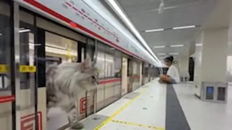 Tesla Model Y Performance Brings Supercar Speed To A Family Crossover