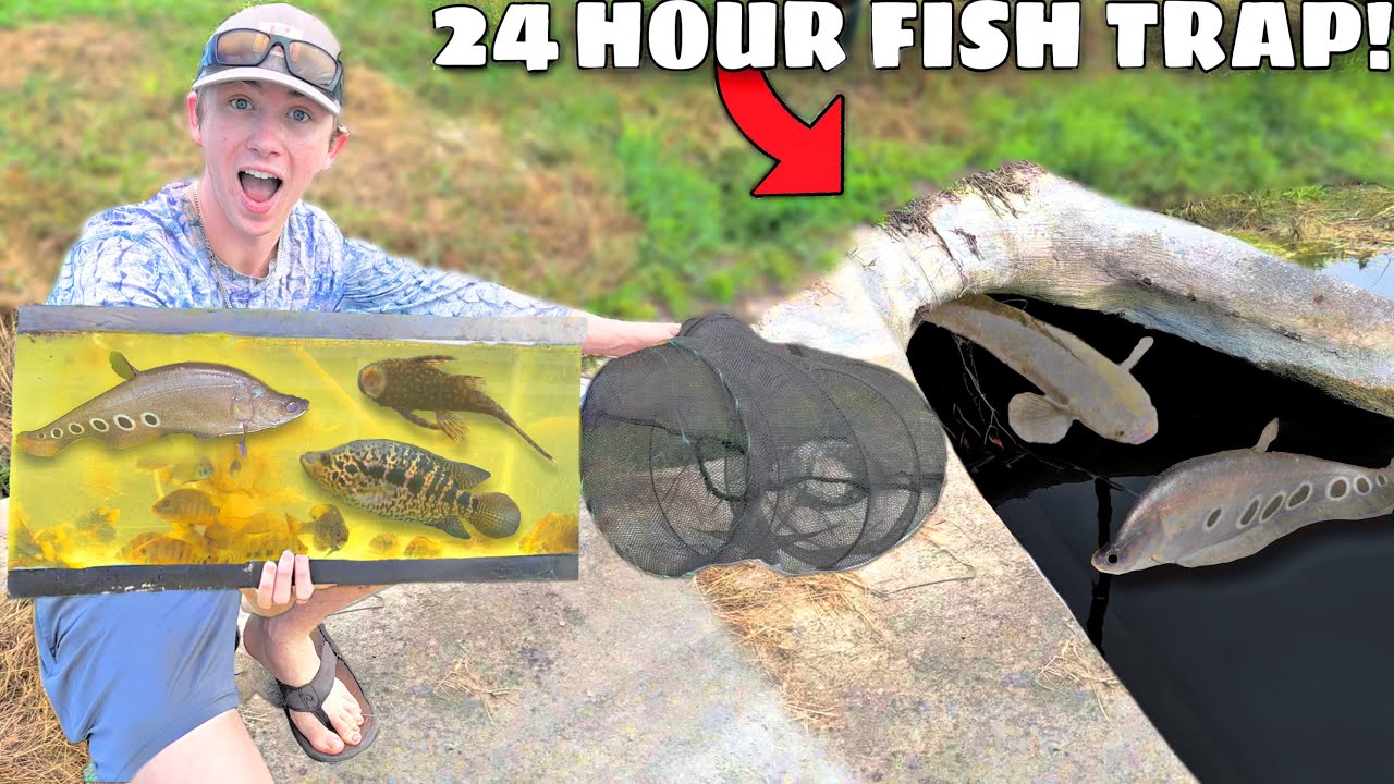 24 HOUR FISH TRAP Catches ALIEN FISH For My AQUARIUM!