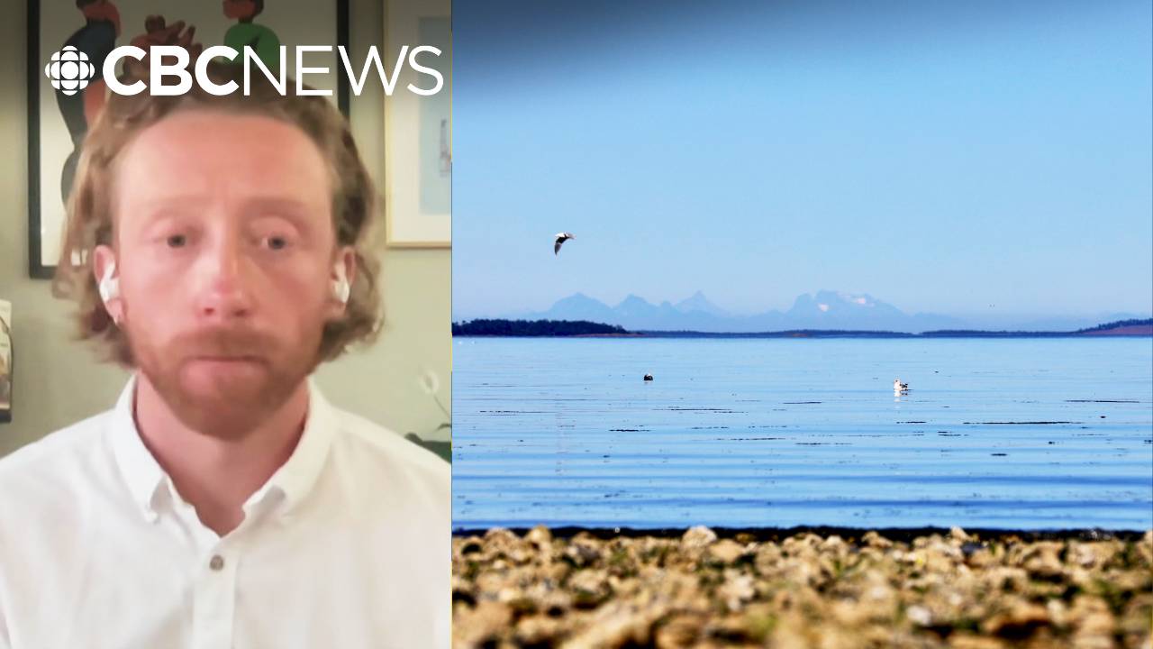 Low ocean oxygen levels becoming more common off B.C.'s coast: study