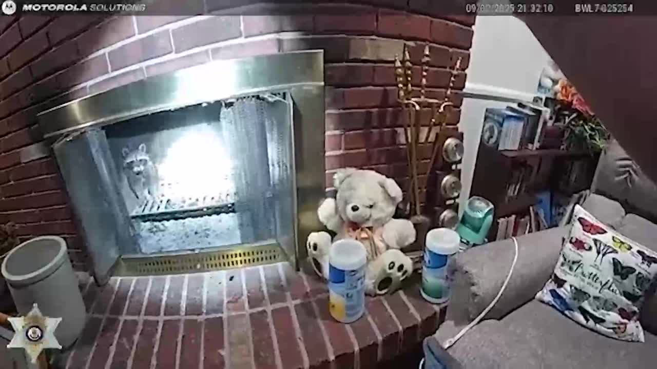 Arapahoe County Deputies Rescue Raccoon Trapped in Chimney