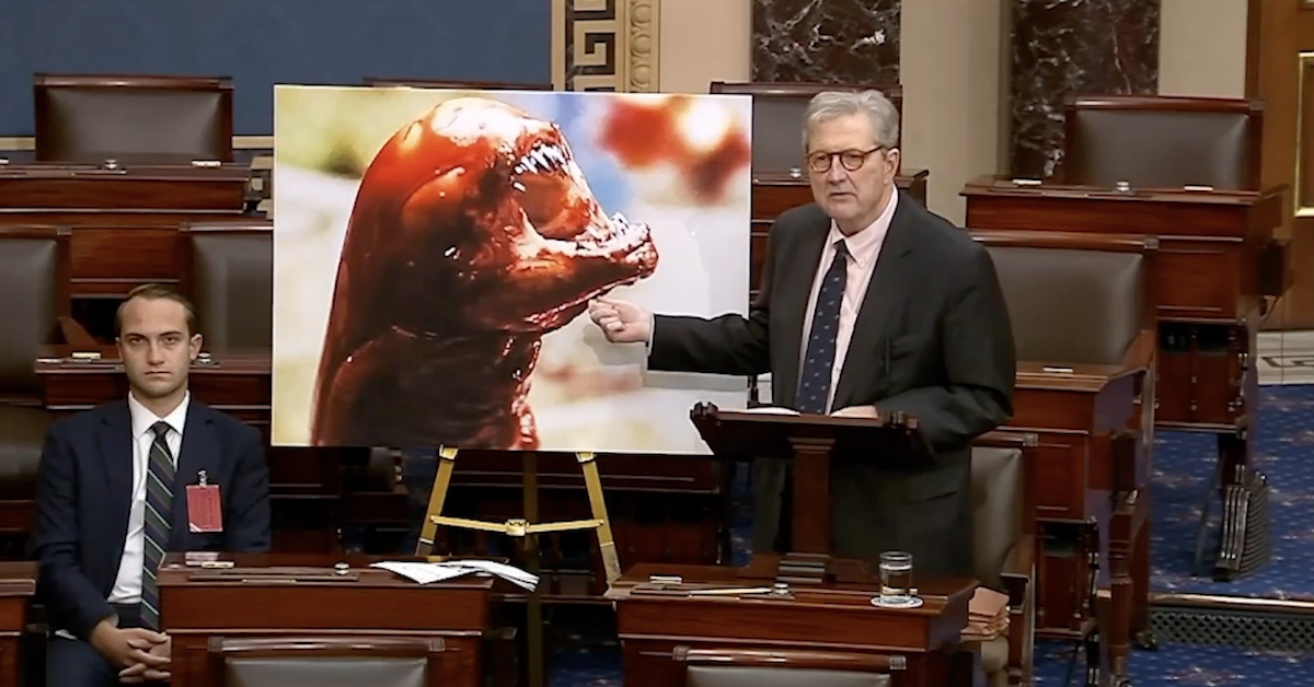 John Kennedy Warns of ‘Radioactive Shrimp’ Accompanied By Photo of ...
