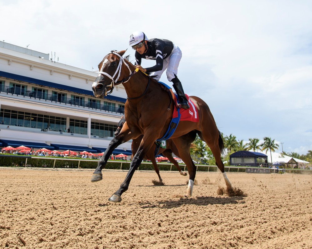 Six-Figure Purchase Love Like Lucy Leads Desert Vixen Stakes