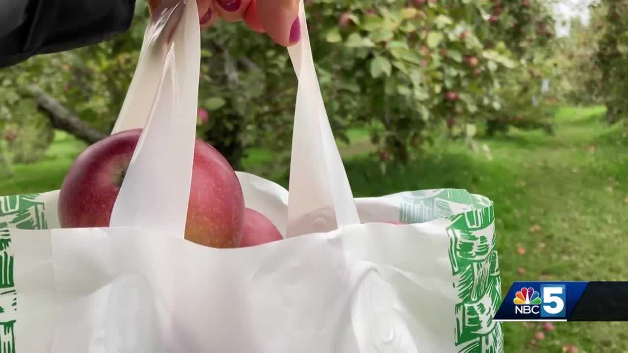 Apple picking: Where you can get U Pick apples in Vermont, New York