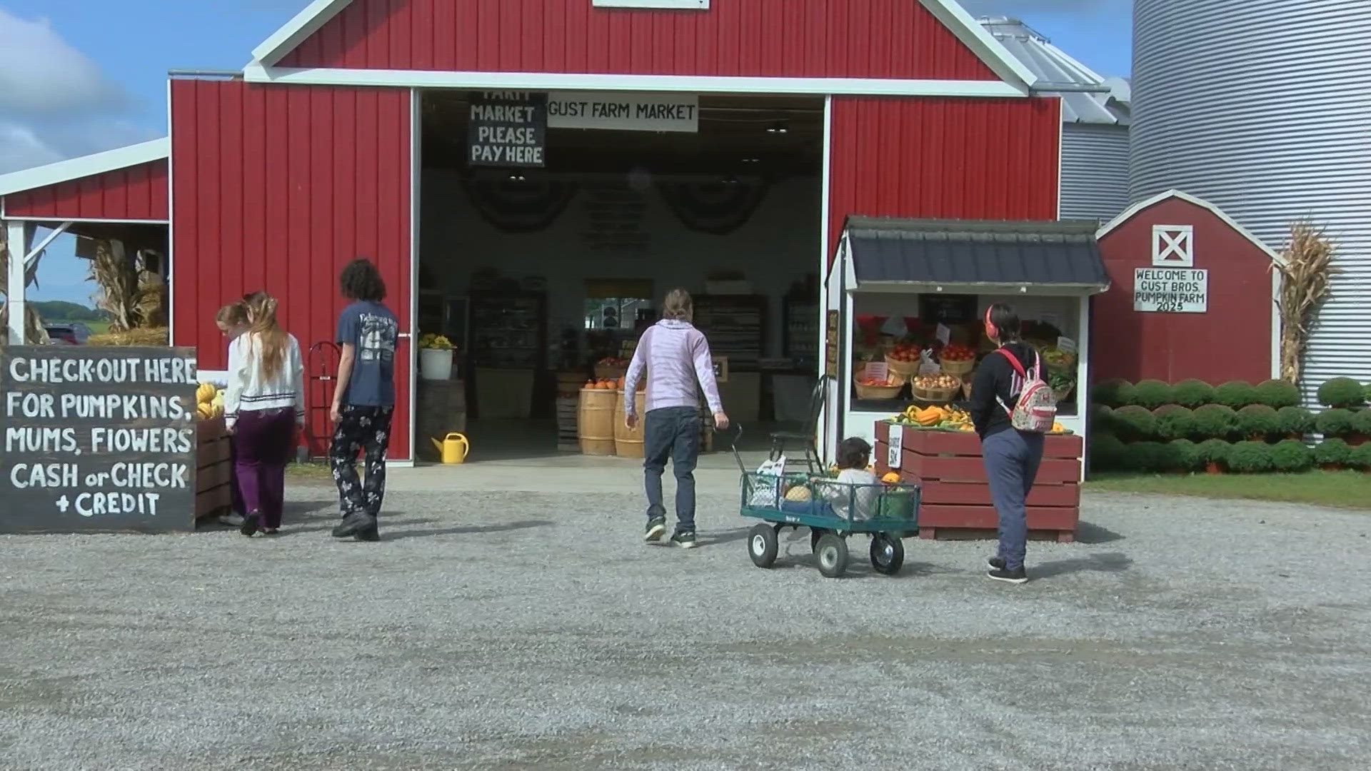 Gust Brothers Farm keeping pumpkin prices steady while navigating ...