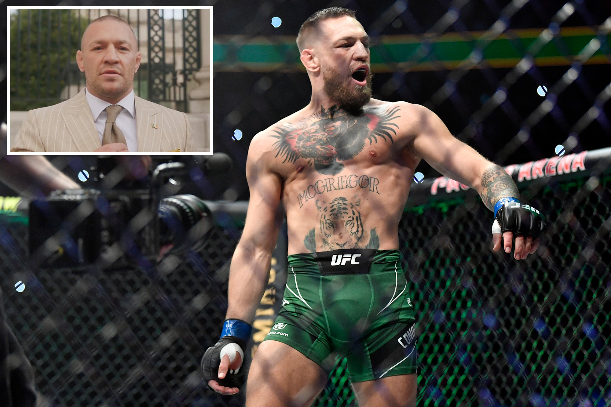 UFC legend Conor McGregor tries to stir up support for Irish ...