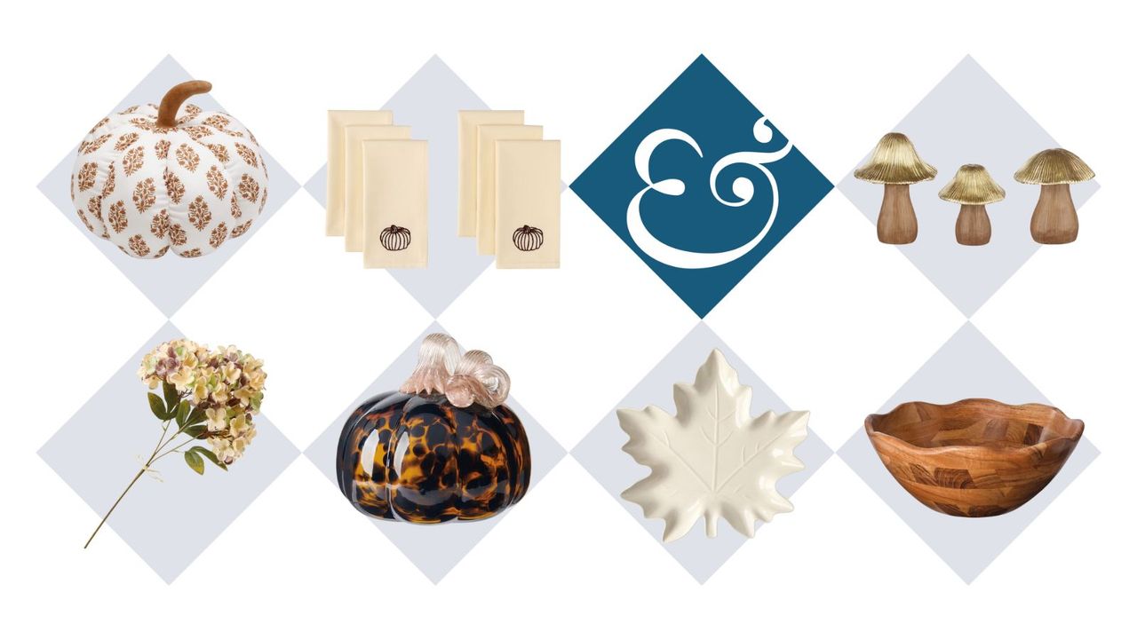 If you're going to shop for fall decor from ALDI, please let me show ...
