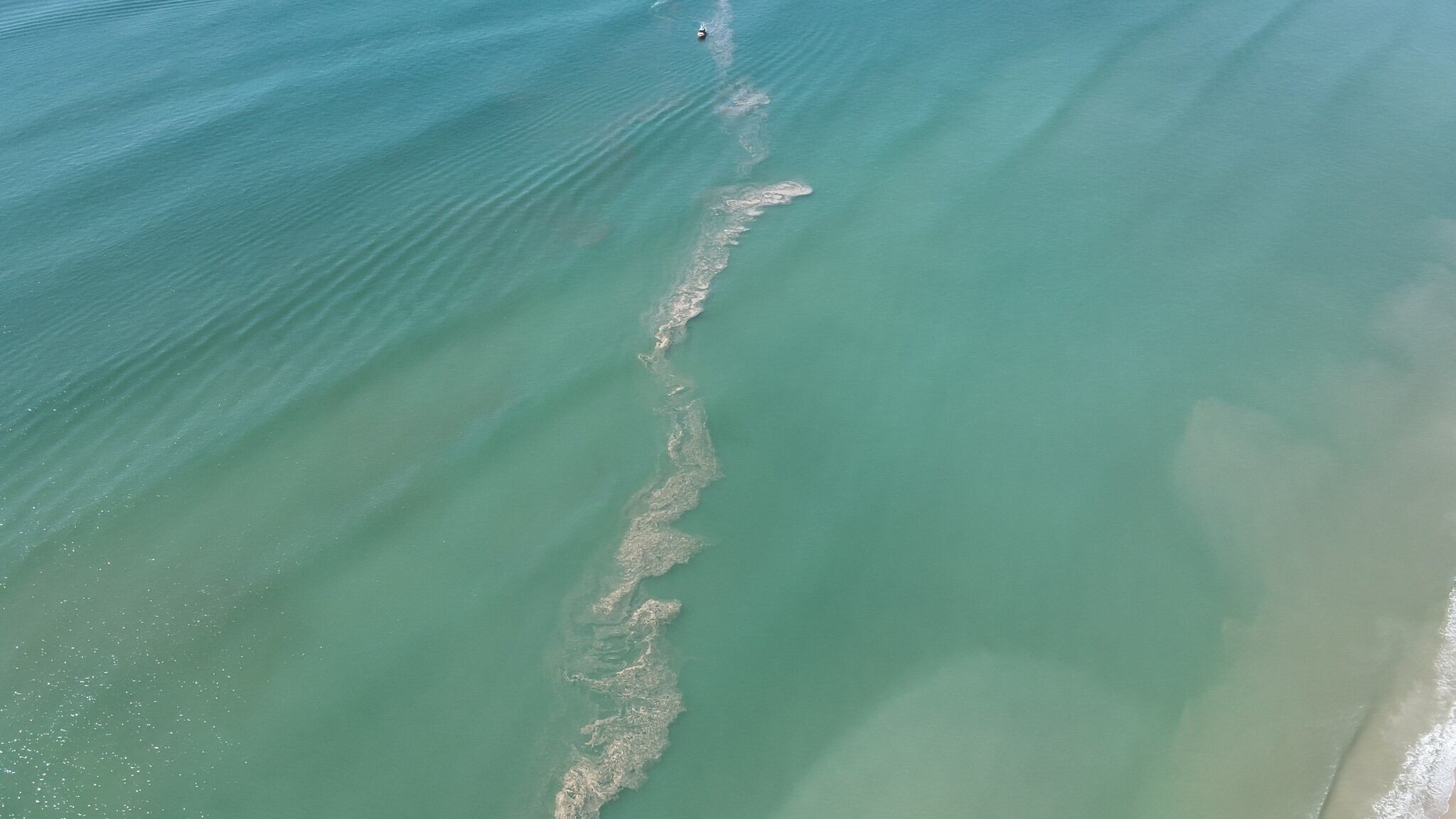 Atlantic Beach officials say sheen on water is “sea sawdust”