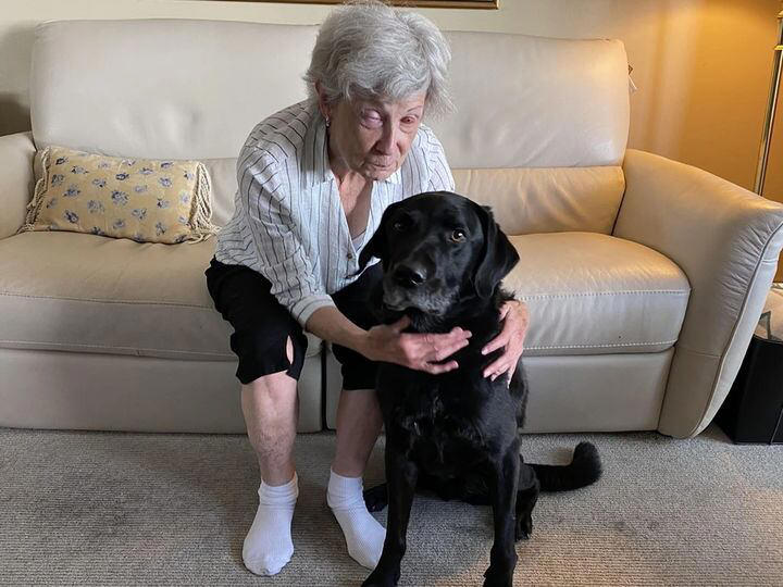 Tooth implant restores vision for Canadian woman