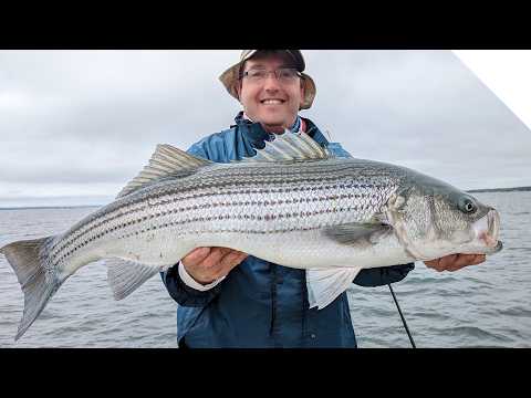 Salt Water Striper Fishing - Top Water