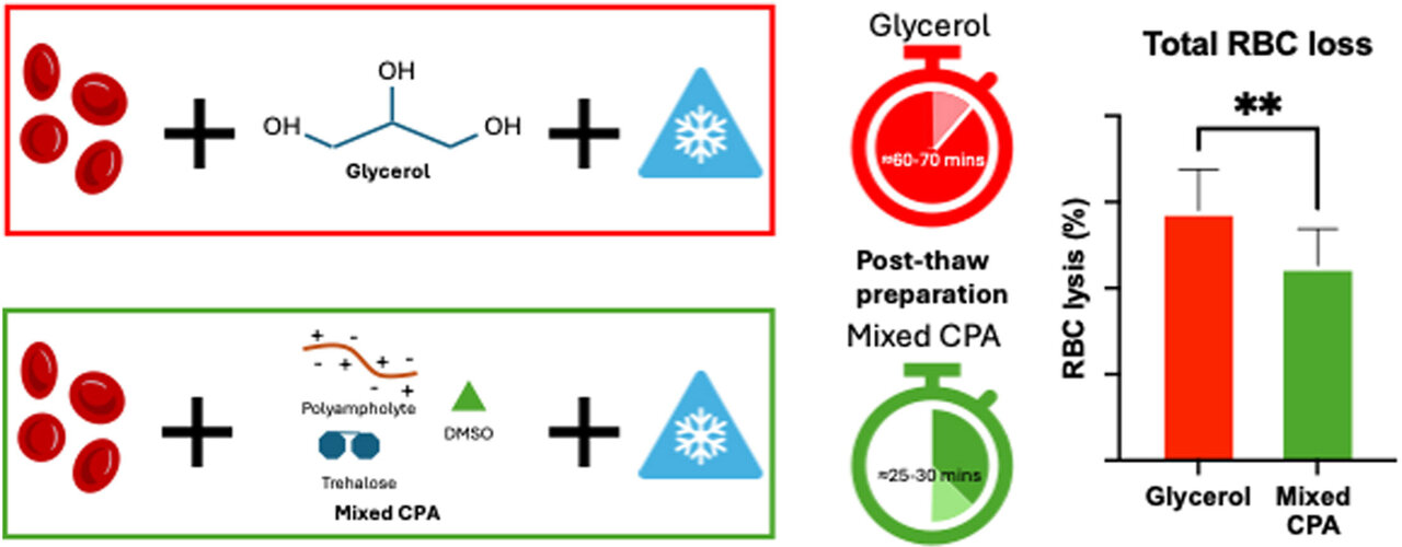 Blood on demand: New freezing method slashes thaw time for emergency ...