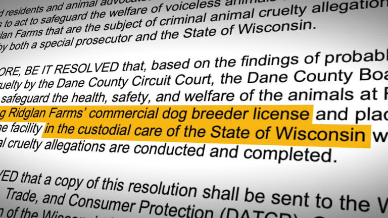 Wisconsin dog breeding farm faces violations, supervisors split on shutdown