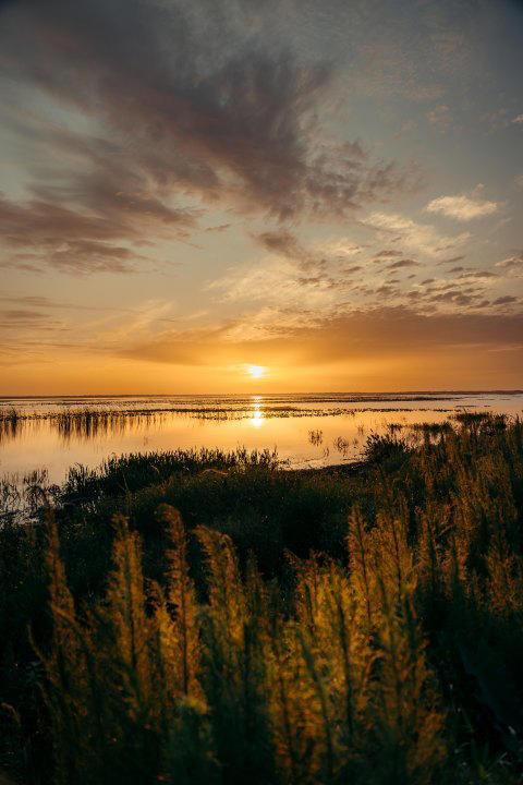 Development off limits: 2,317 acres off Lake Kissimmee to be ...