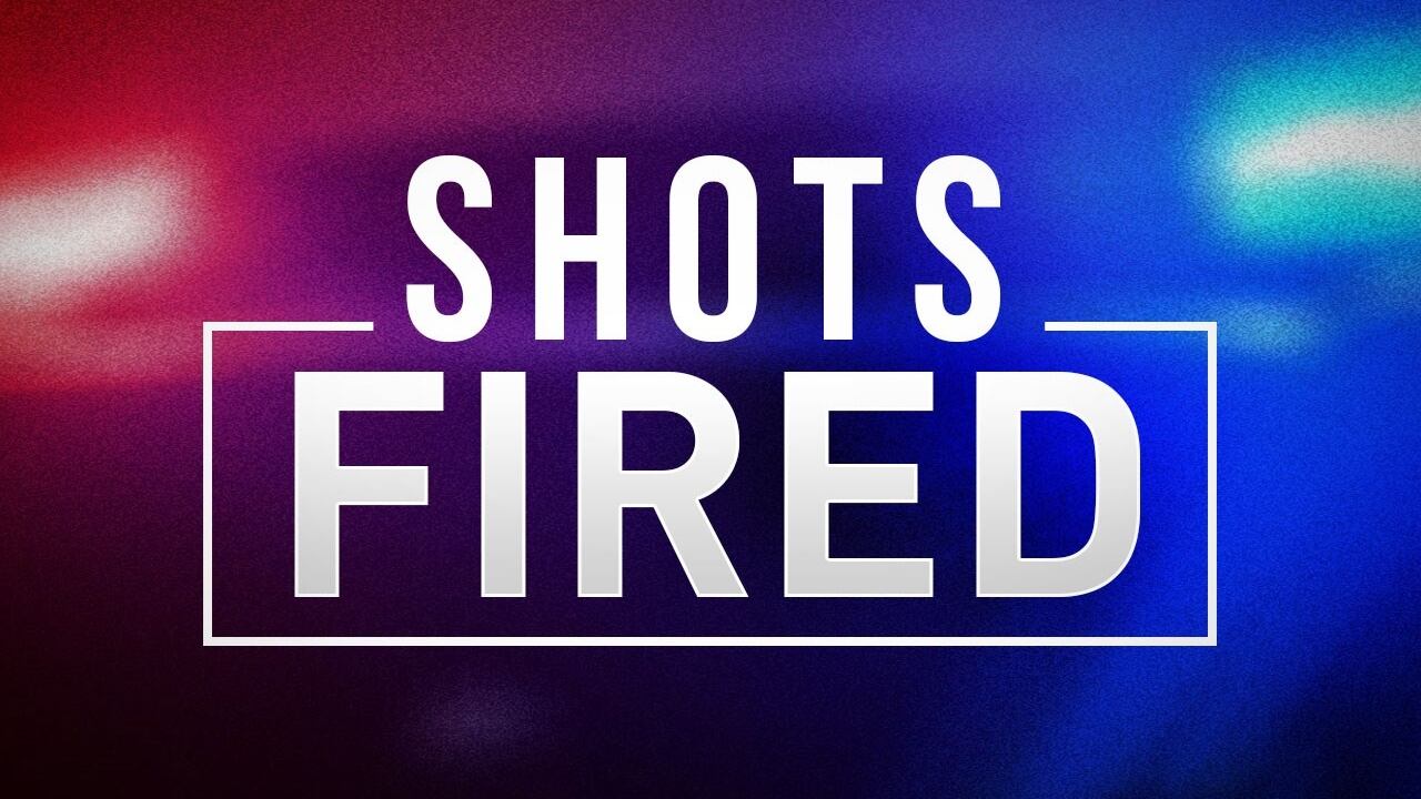 Police investigating reports of shots fired near Martin County ...