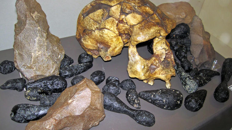 Ancient human fossils in Antarctica puzzle researchers