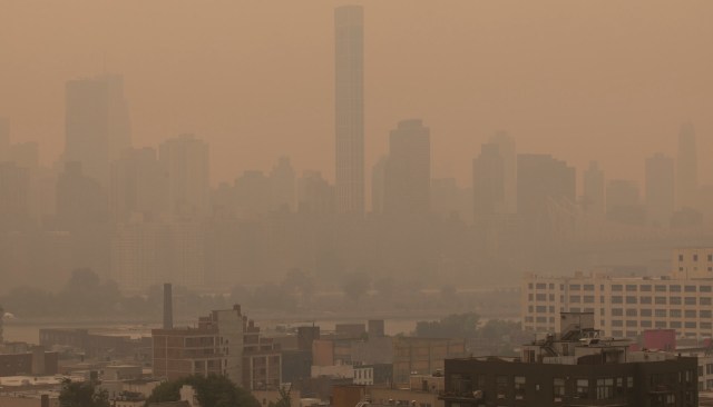 Scientists issue warning on overlooked hazard causing serious brain ...